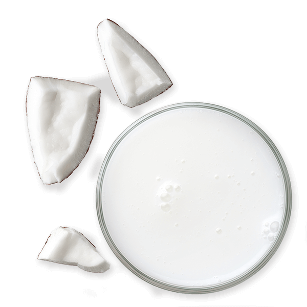 Cereal y leche: la pareja perfecta | Cereales NESTLÉ®