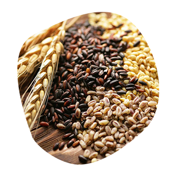 Hacemos que el desayuno sea mejor | Cereales NESTLÉ®