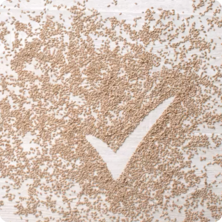 Fullkorn och dess fördelar | NESTLÉ® Cereals