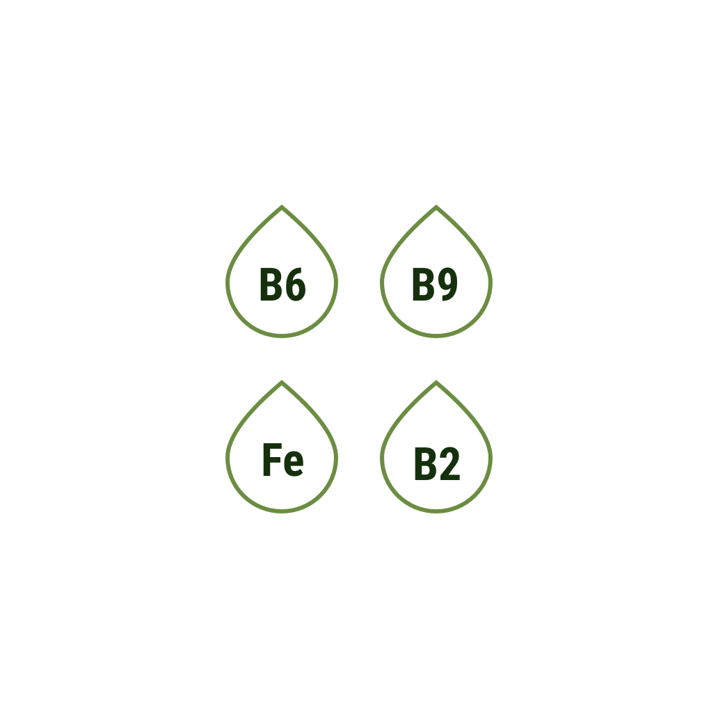 What Are Fortified Cereals & The Top Options | Nestlé Cereals