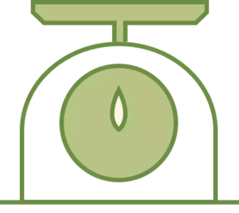 Cereal Portion Size Guide for Breakfast | Nestlé Cereals